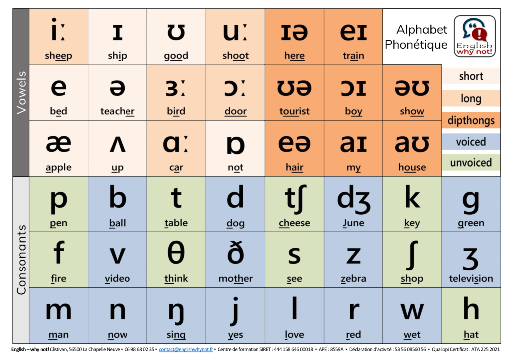 Alphabet en anglais - English - why not!